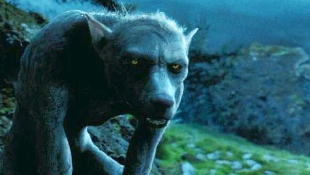 5 curiosidades sobre Remus Lupin que você provavelmente não sabia