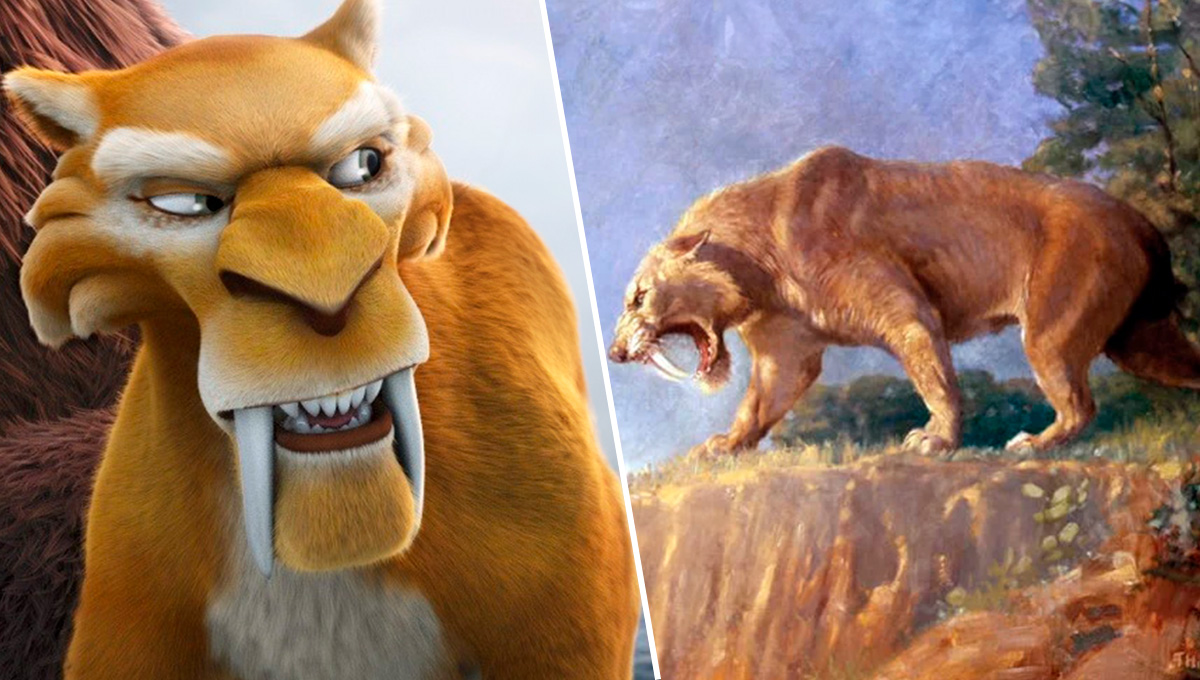 A Era do Gelo: Conheça os animais reais por trás dos personagens