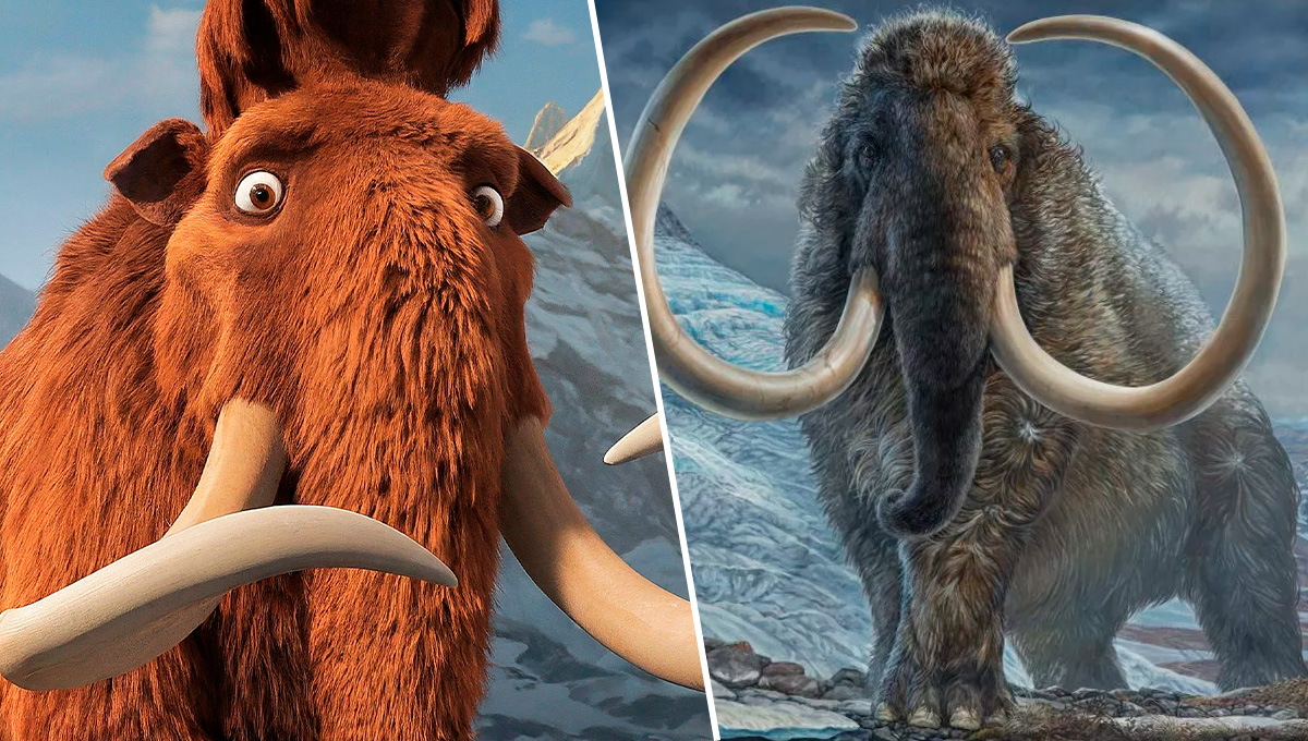 A Era do Gelo: Conheça os animais reais por trás dos personagens