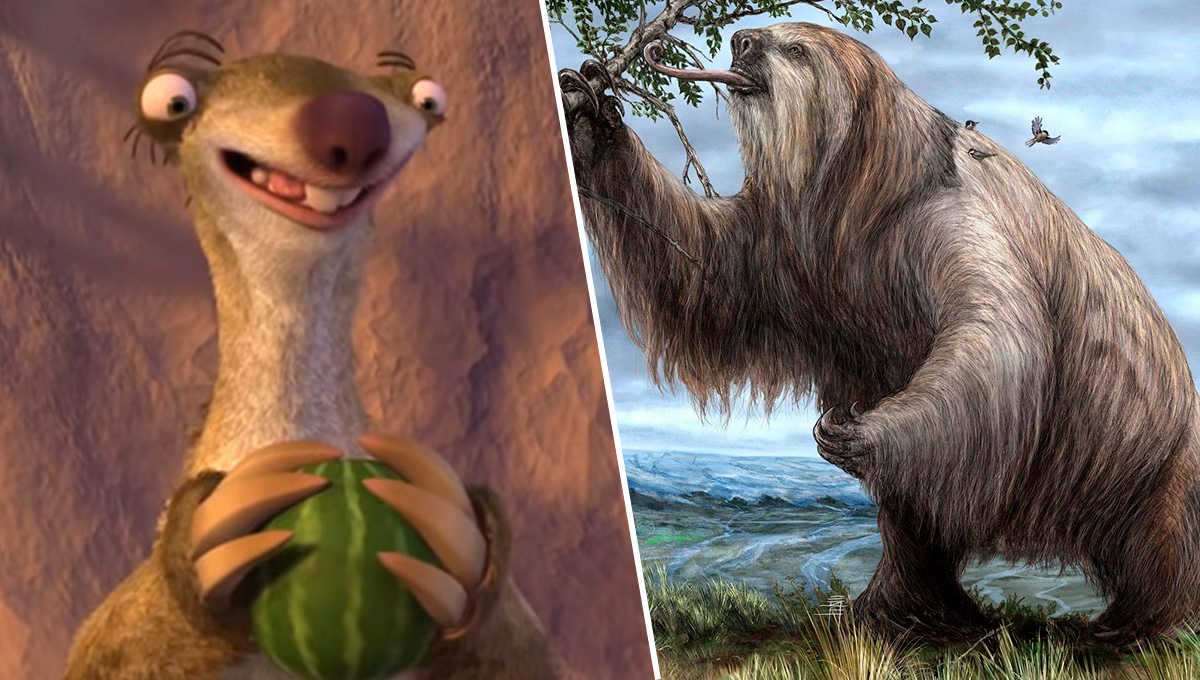 A Era do Gelo: Conheça os animais reais por trás dos personagens